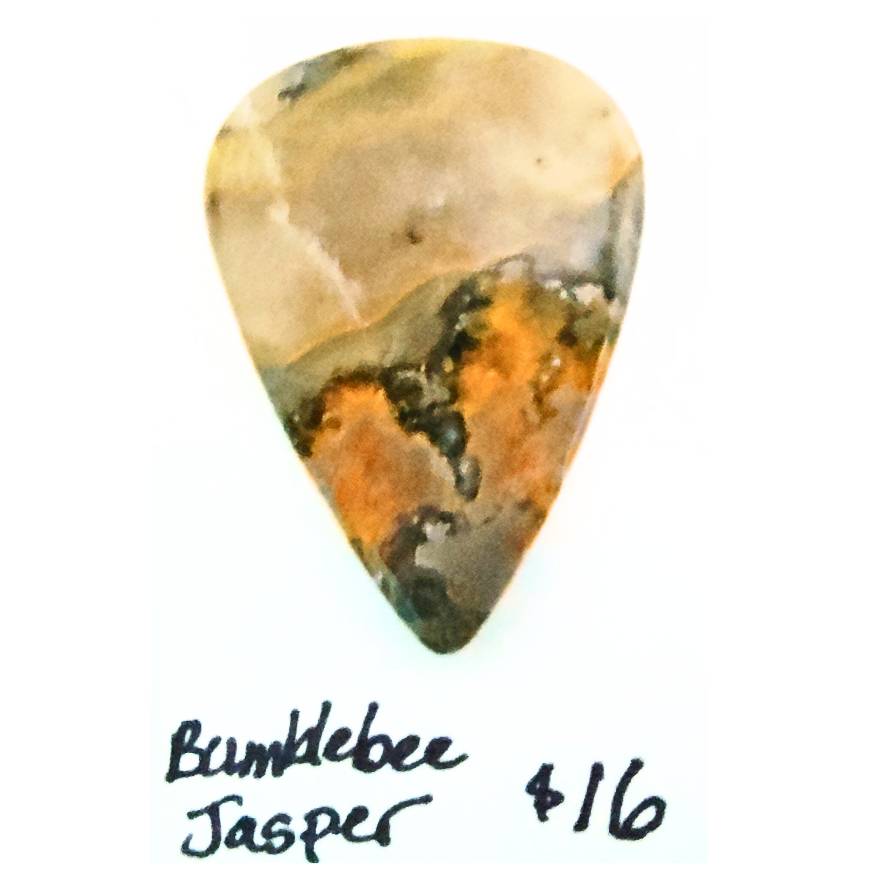 BBJ-1000 Bumblebee Jasper Cab – Studio JSD